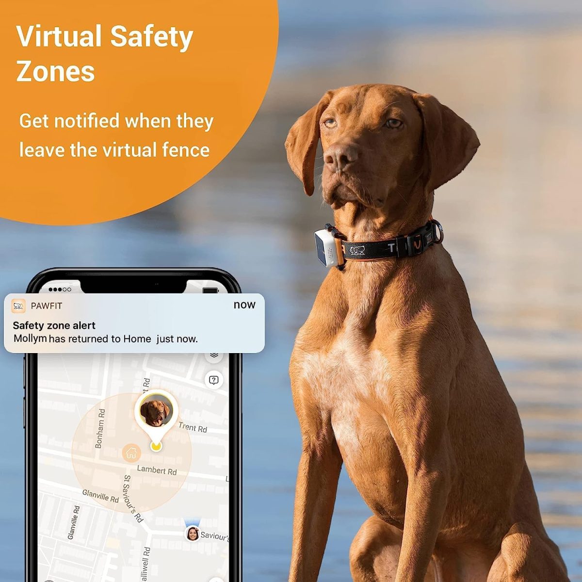 Dog GPS Tracker Australia - 6 Best Dog Tracker Collars